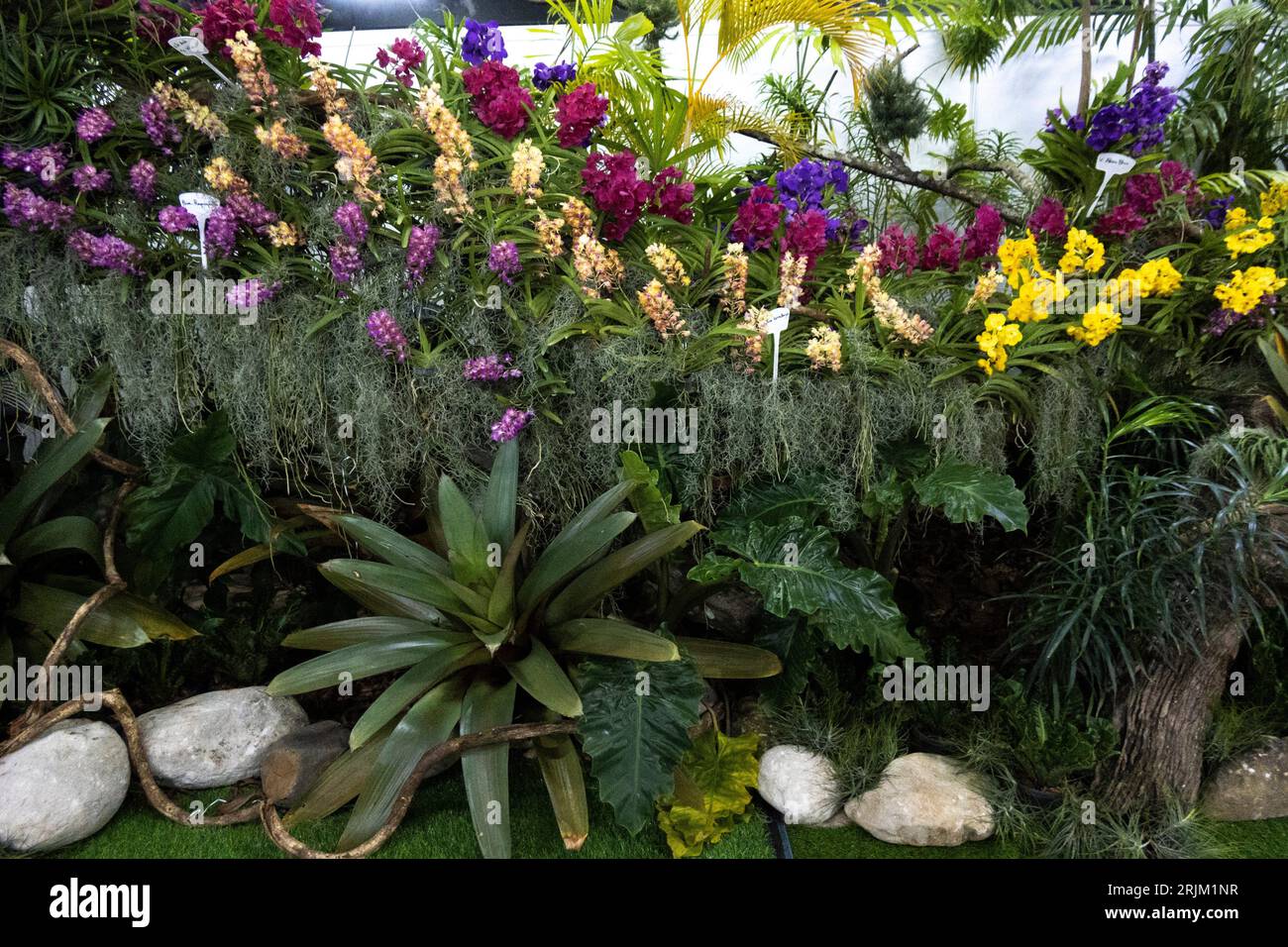 Borneo International Garden Expo Sarawak (BIGEXS 2023) im Borneo ...