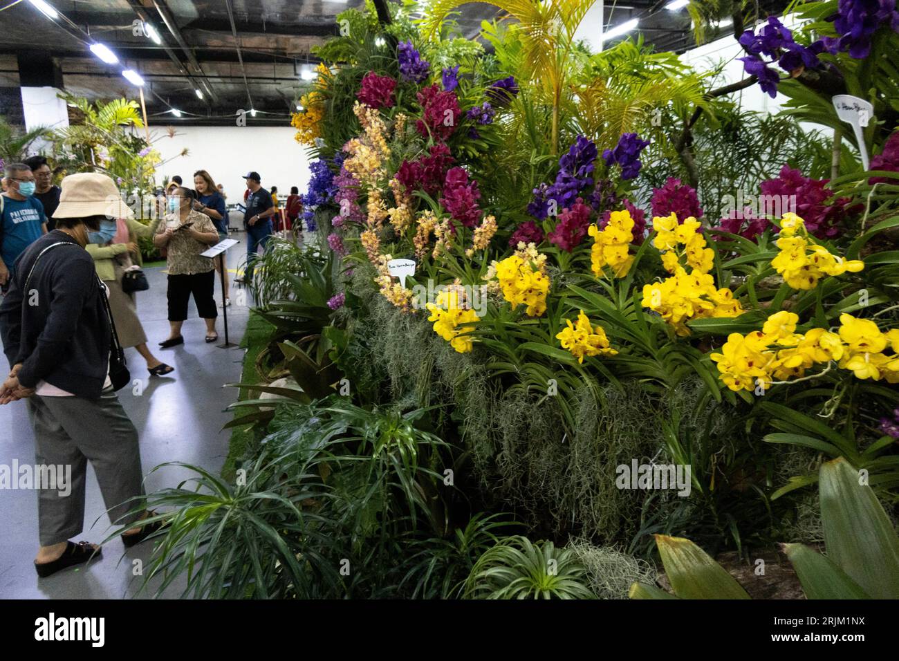 Borneo International Garden Expo Sarawak (BIGEXS 2023) im Borneo ...