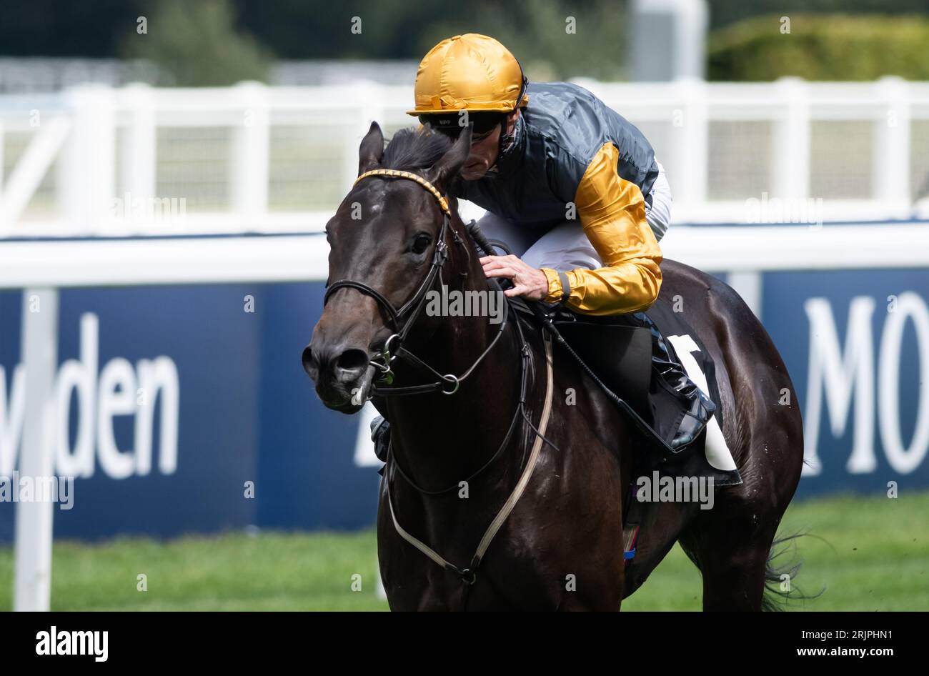 Racing queen elizabeth stakes day -Fotos und -Bildmaterial in hoher ...