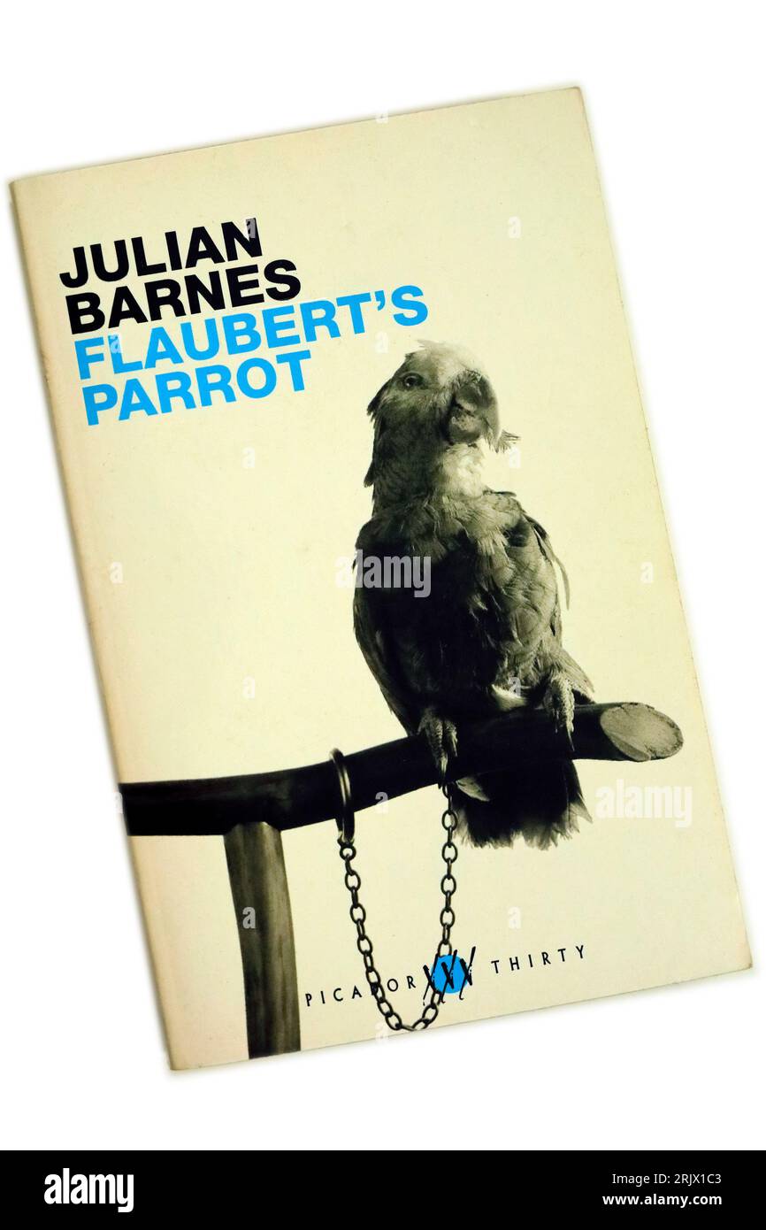 Die engere wahl Ausgeschnittene Stockfotos und -bilder - Alamy