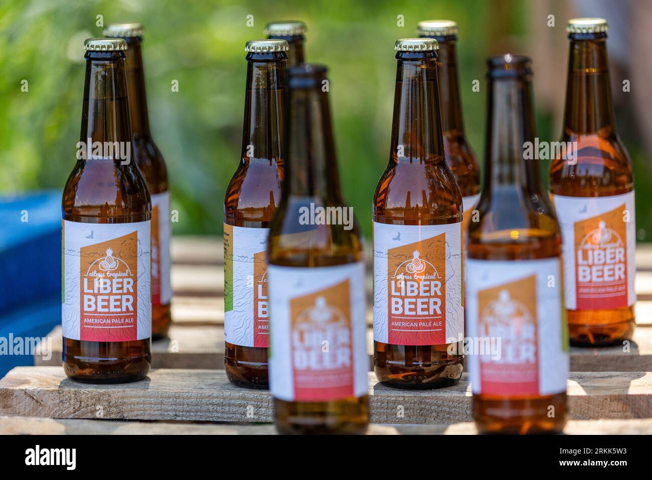 Batina, Kroatien. August 2023. Foto aufgenommen am 24. August 2023 ...