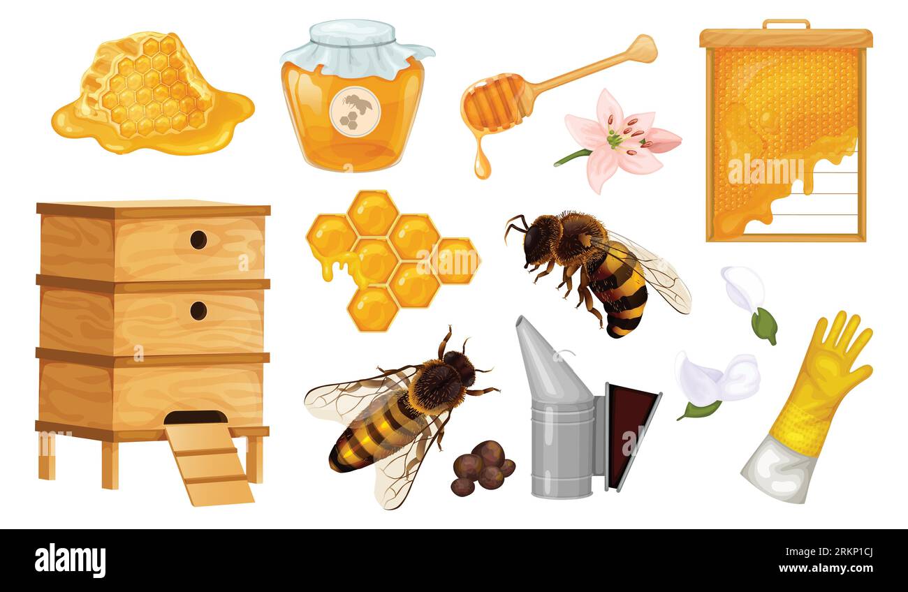 Beekeeping equipment honey set with isolated images of bees beehives honeycomb can with flowers and gloves vector illustration Stock Vektorgrafik Alamy