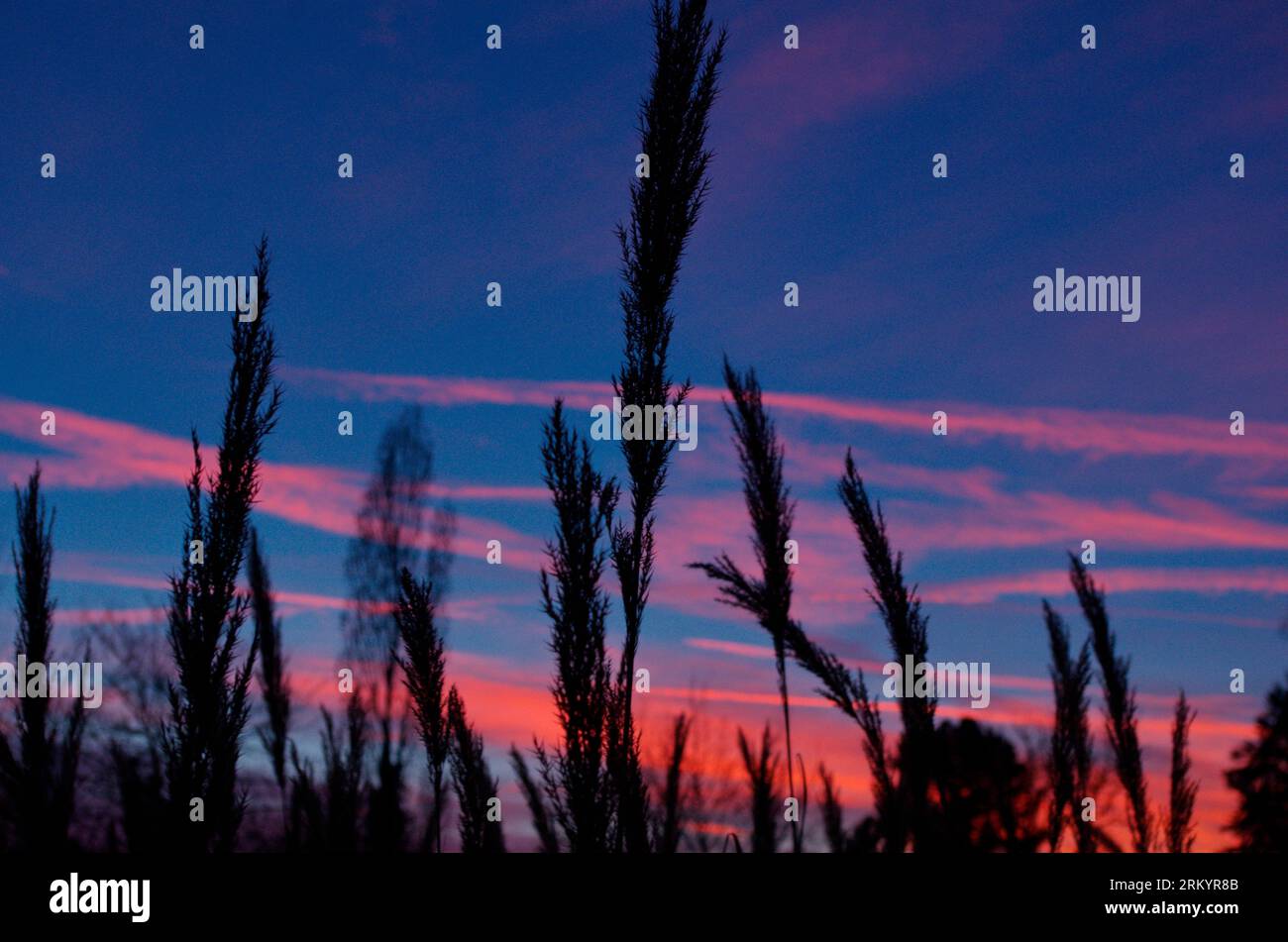 Tramonto rosa -Fotos und -Bildmaterial in hoher Auflösung – Alamy