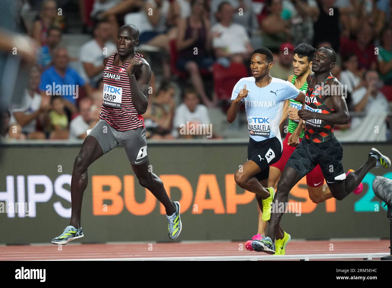 Marco arop budapest 2023 -Fotos und -Bildmaterial in hoher Auflösung ...