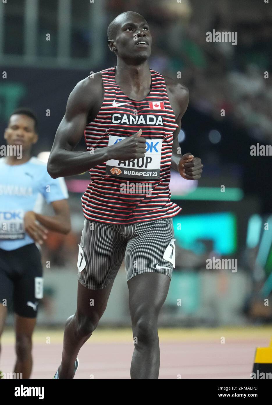 Marco arop budapest 2023 -Fotos und -Bildmaterial in hoher Auflösung ...