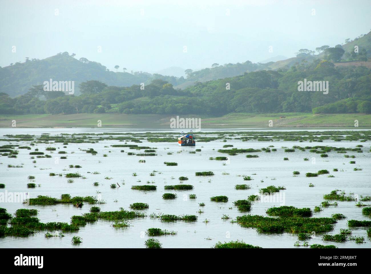 Ein ruhiger See mit vielen kleinen Grasbüscheln und einem kleinen Boot ...