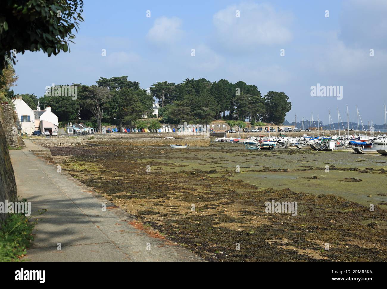 Blick von der Küstenpromenade über Anse du Logeo und Dorf bei Ebbe, Le ...