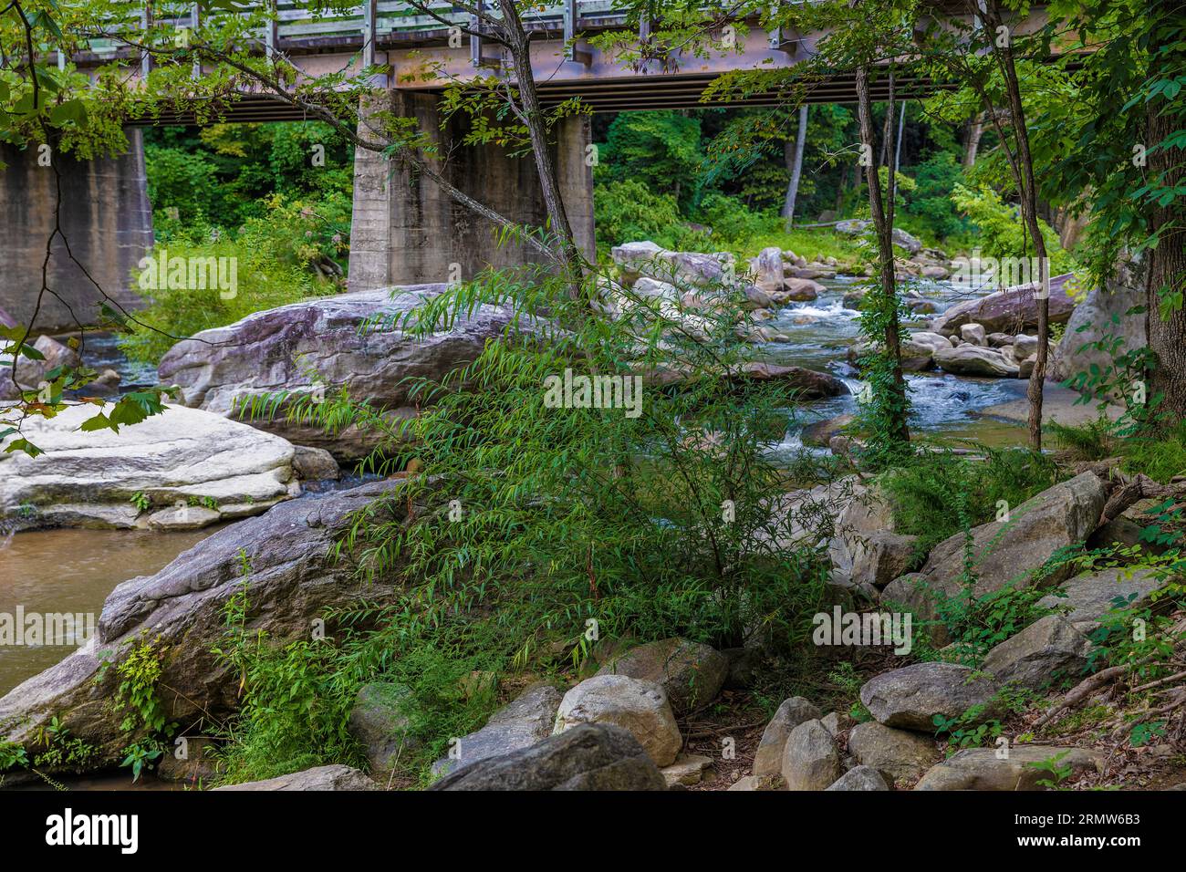 River Walk entlang des French Broad River, den die Einheimischen als ...