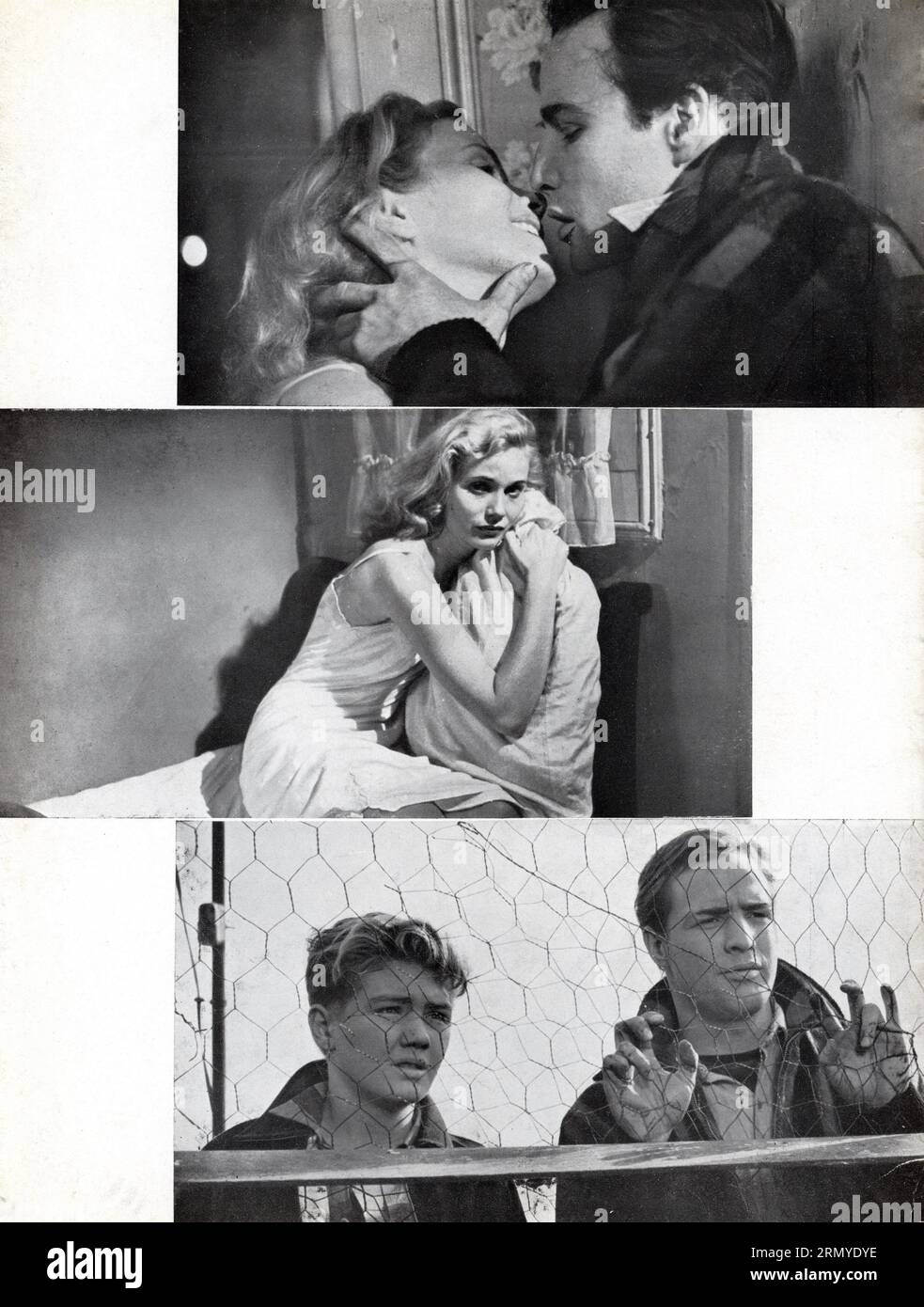 Marlon brando eva marie saint -Fotos und -Bildmaterial in hoher ...
