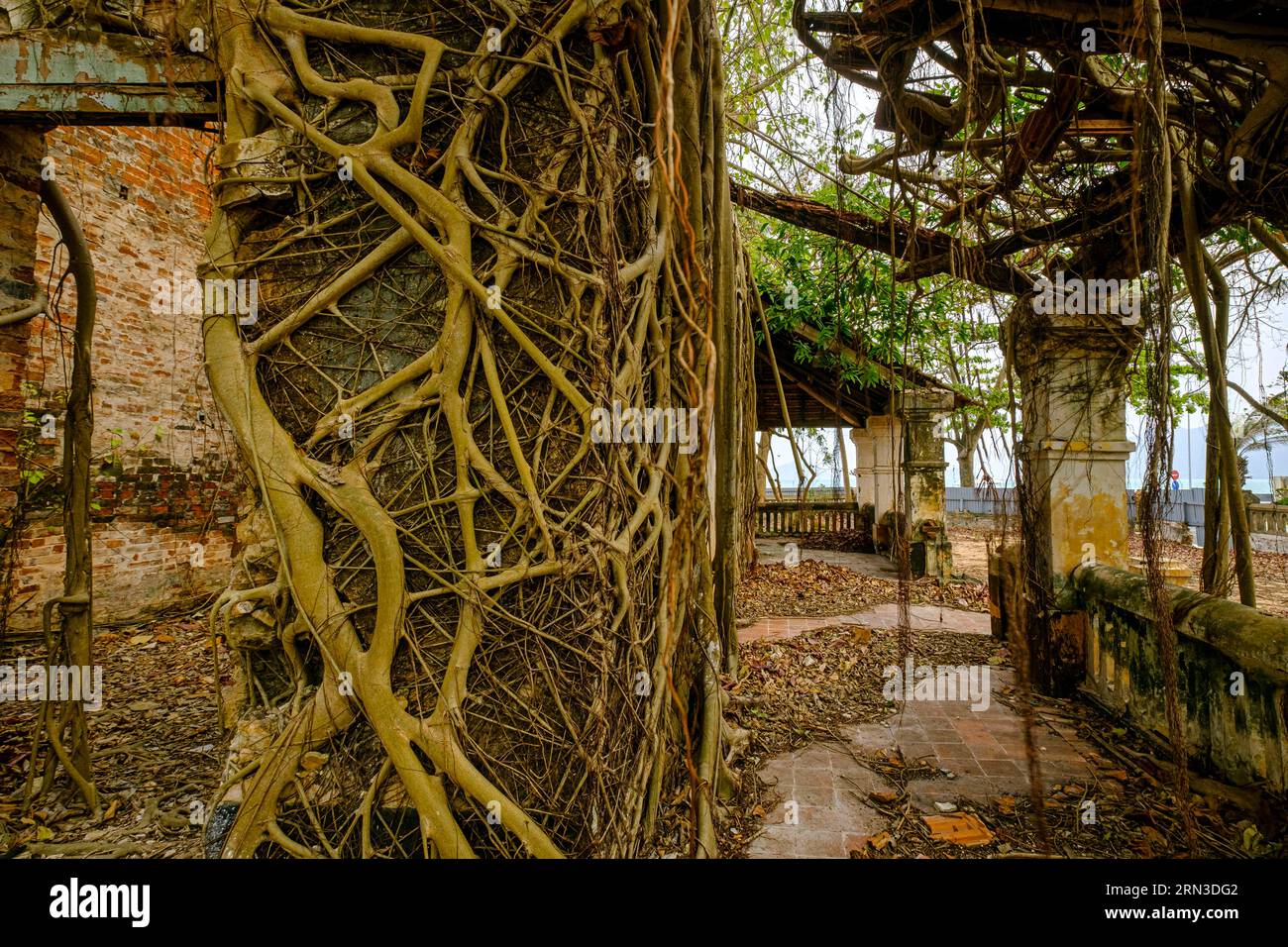 Con son con dao -Fotos und -Bildmaterial in hoher Auflösung – Alamy