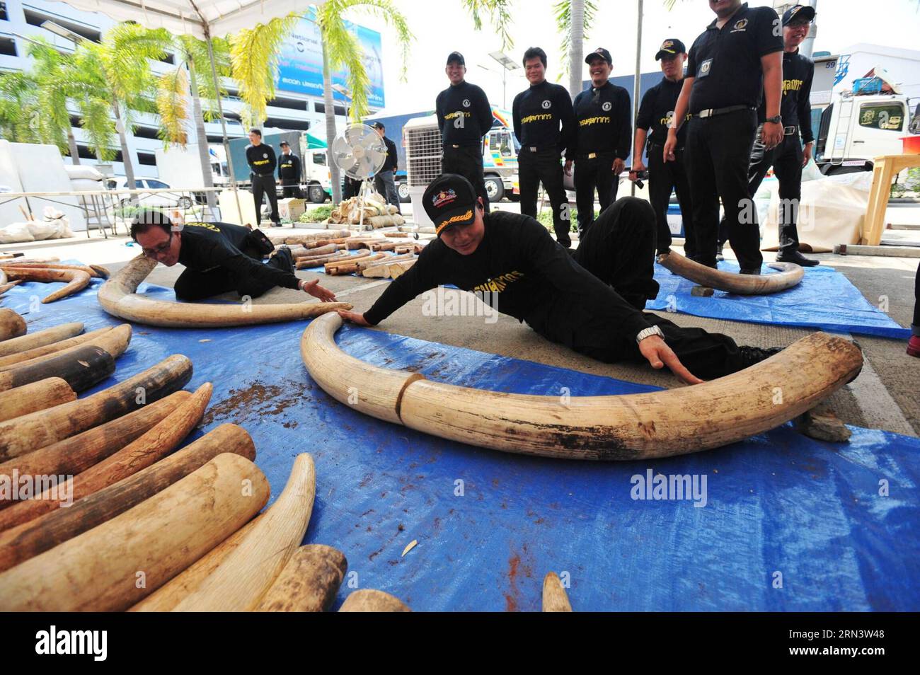 Zoll beamte -Fotos und -Bildmaterial in hoher Auflösung – Alamy