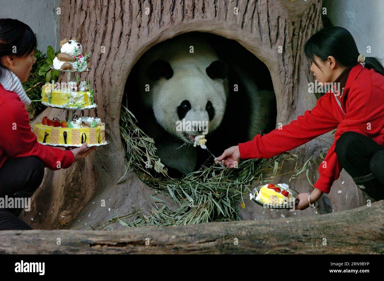 (151128) -- FUZHOU, 2015 -- Aktenfoto, aufgenommen am 18. Dezember 2005 ...