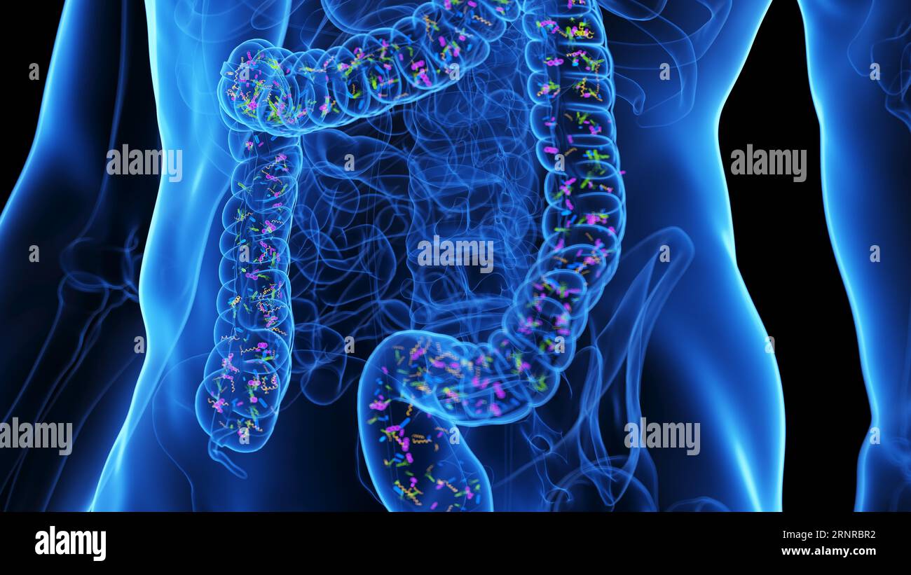 Anatomie mikrobiom haut -Fotos und -Bildmaterial in hoher Auflösung – Alamy