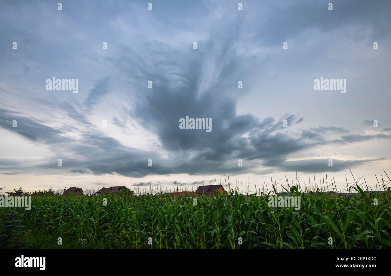 Bewegende wolke -Fotos und -Bildmaterial in hoher Auflösung – Alamy