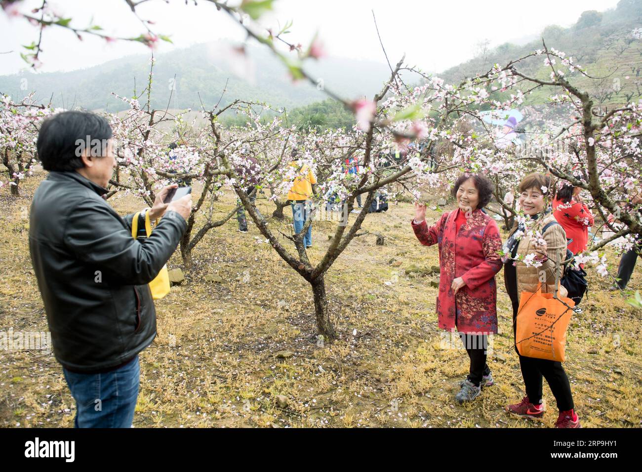 Gangdong bezirk -Fotos und -Bildmaterial in hoher Auflösung – Alamy