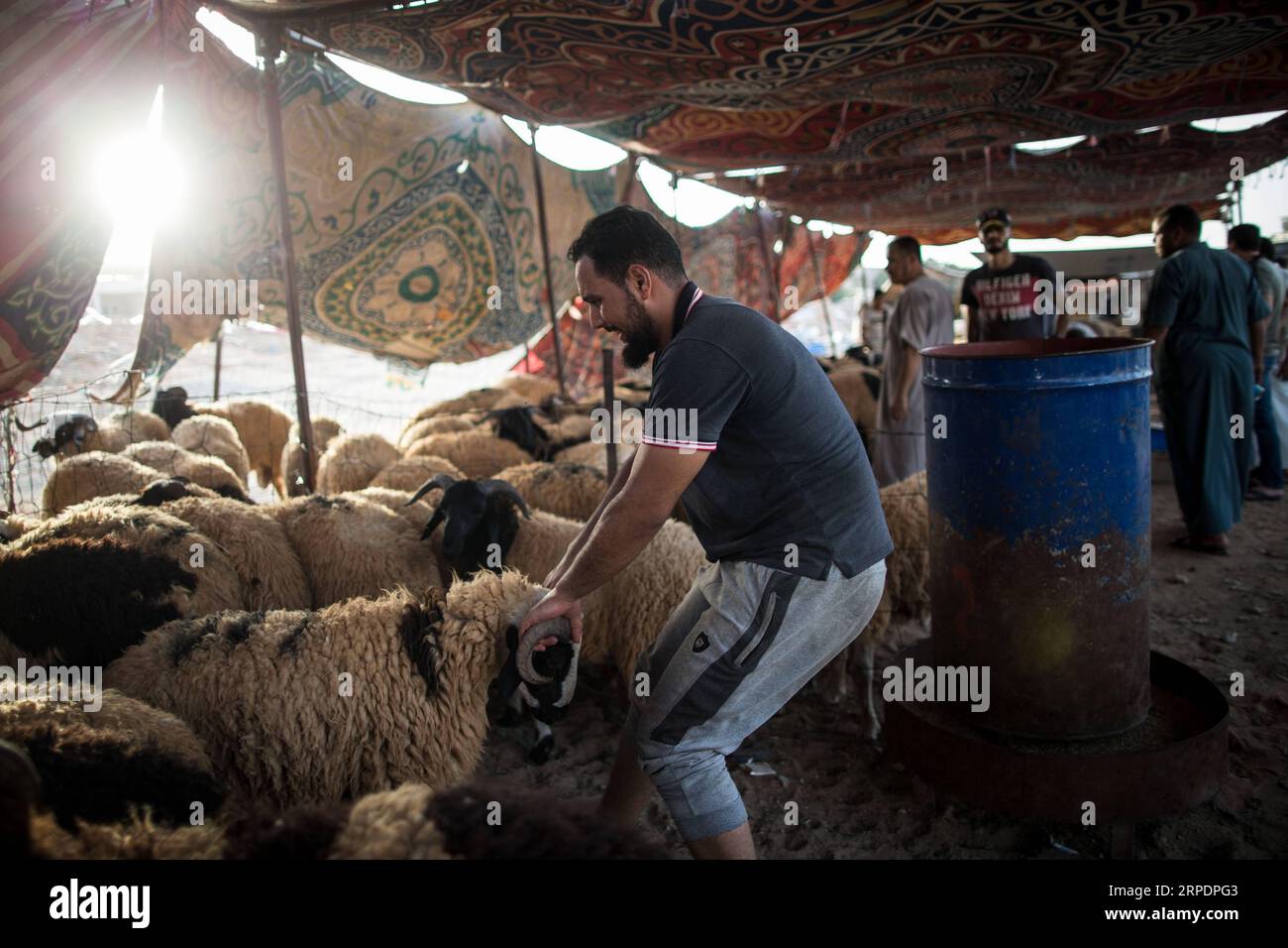 Islamisches Opferfest - Eid al Adha in Libyen (190809) -- TRIPOLI, 9 ...