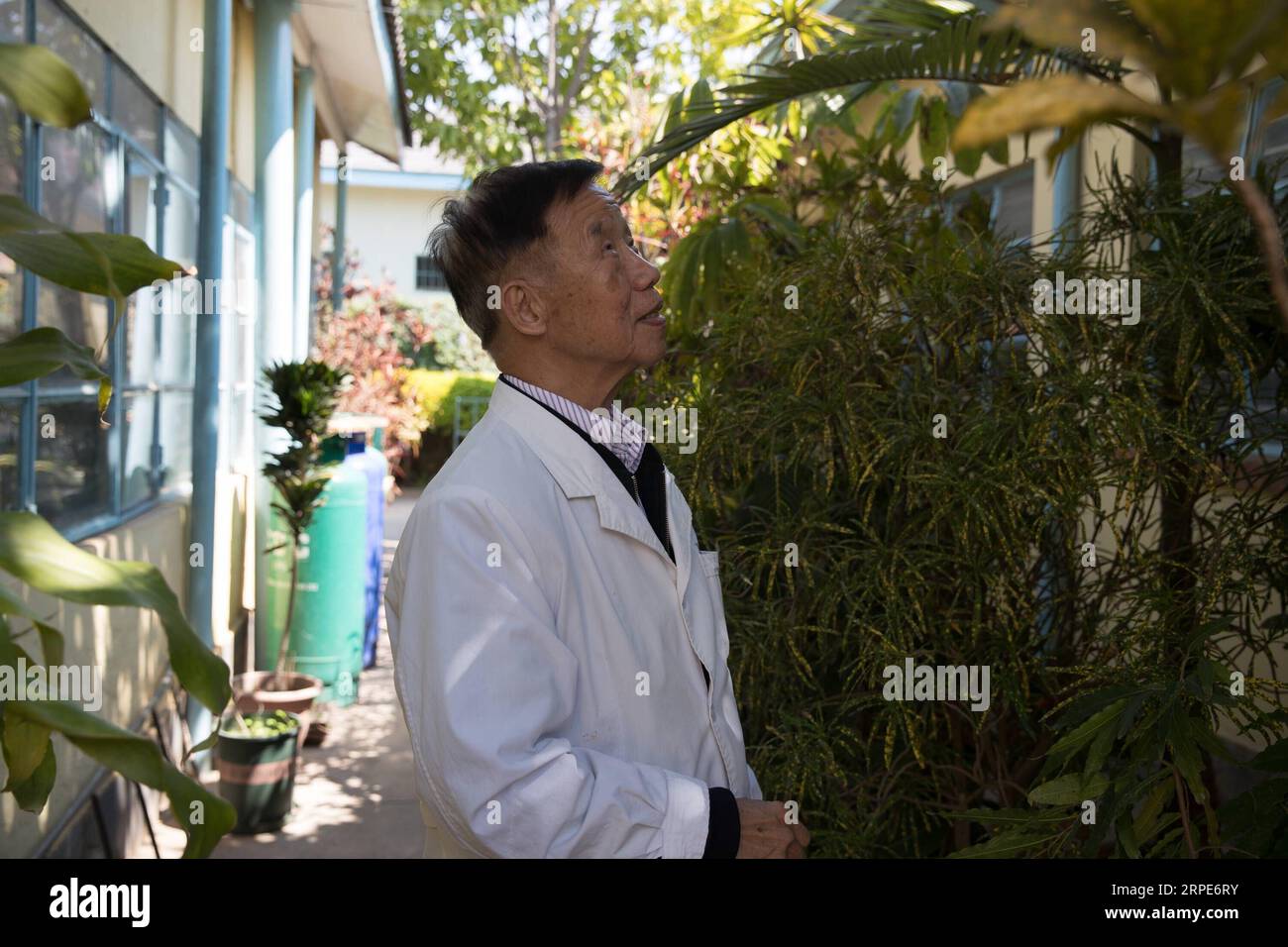 (190819) -- LUSAKA, 19. August 2019 -- Dr. Gong Meiling blickt über ein ...