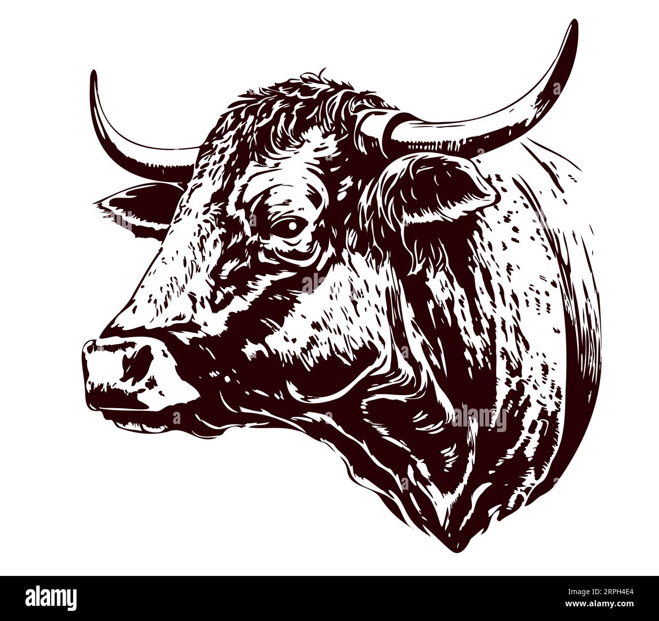 Porträt des Bullen-Logos Skizze Hand gezeichnet Vektor Stock ...