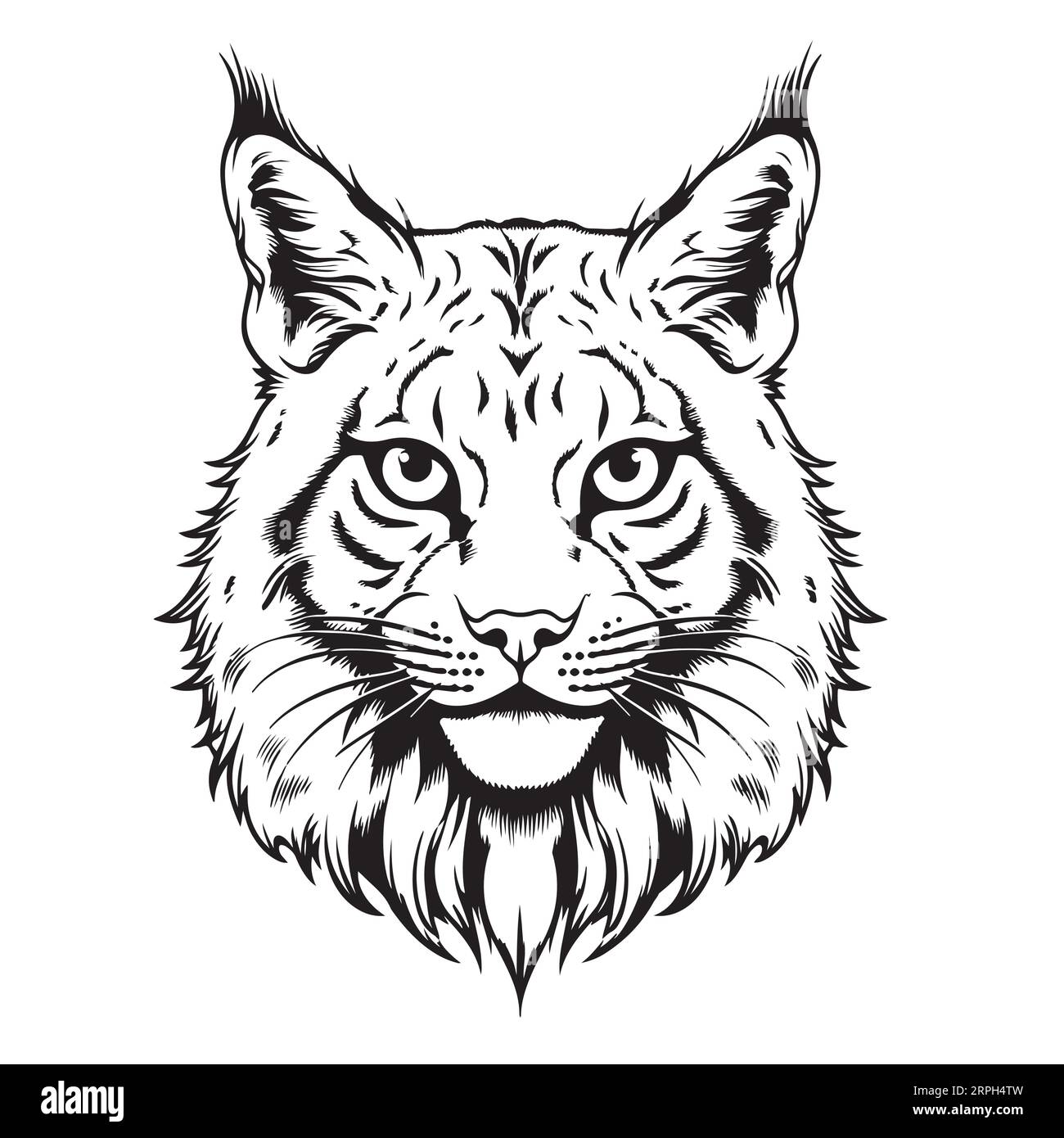 Lynx Head Hand gezeichnete Skizze Vektor Illustration Wild Animals ...