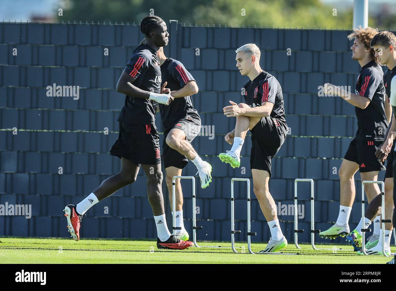 Tubize, Belgien. September 2023. Der Belgier Amadou Onana und der ...