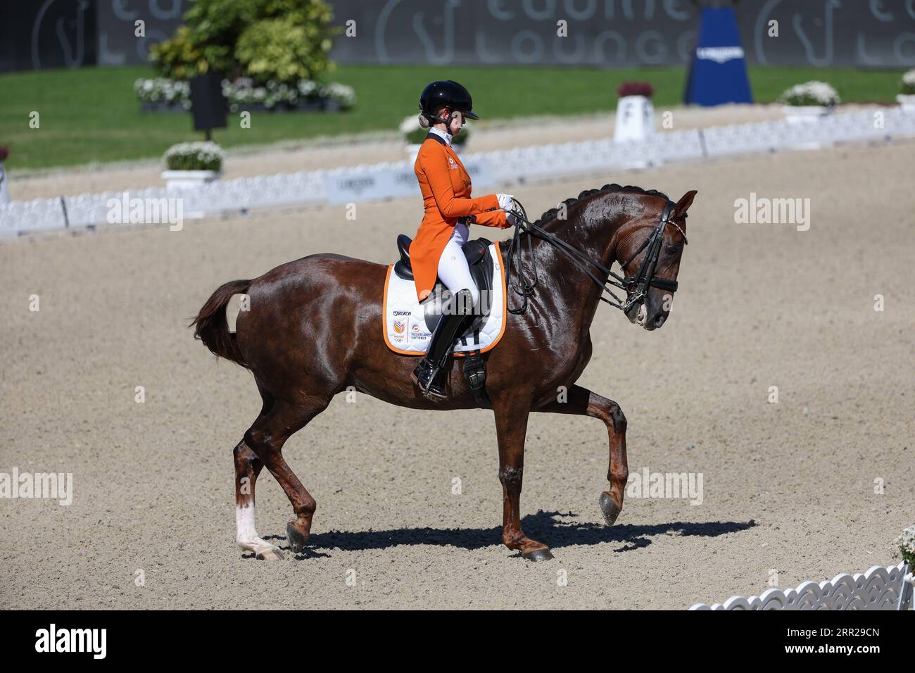 Devenda dijkstra -Fotos und -Bildmaterial in hoher Auflösung – Alamy