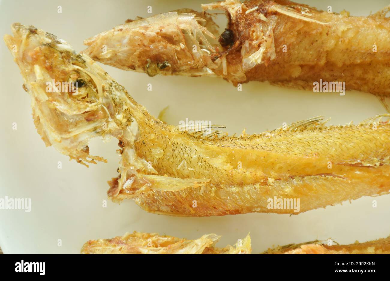 Sillago sihama forsstal -Fotos und -Bildmaterial in hoher Auflösung – Alamy