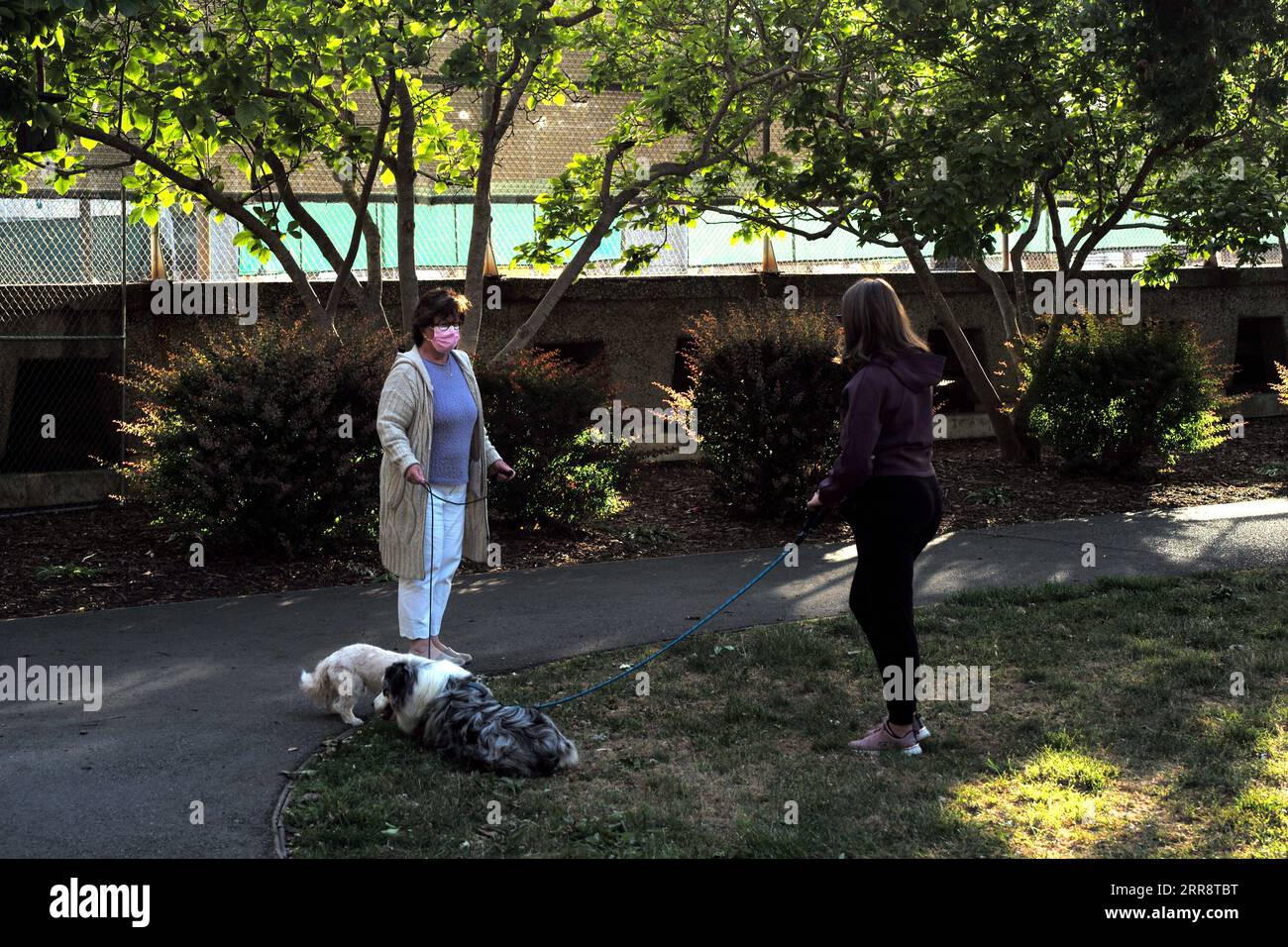 210518 -- SAN MATEO, 18. Mai 2021 -- Menschen gehen ihre Hunde in einem Park in San Mateo ...