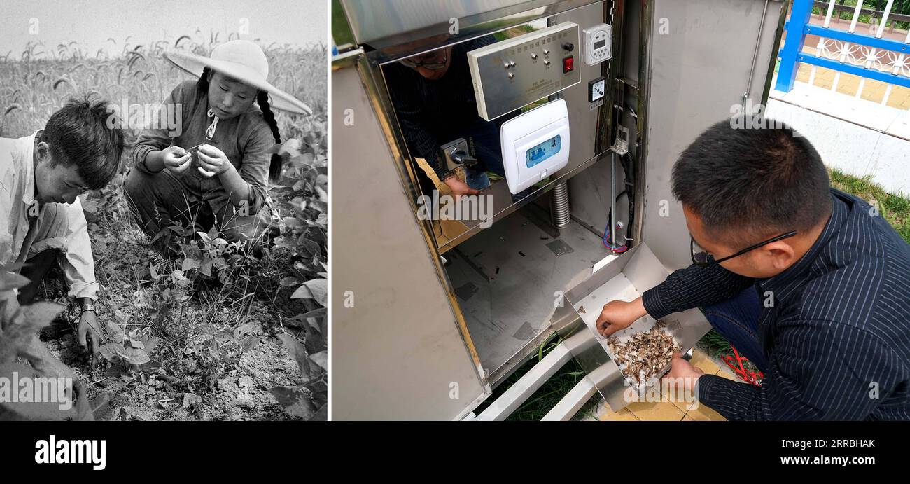 210922 -- ZHENGZHOU, 22. September 2021 -- Kombo-Foto zeigt Menschen ...