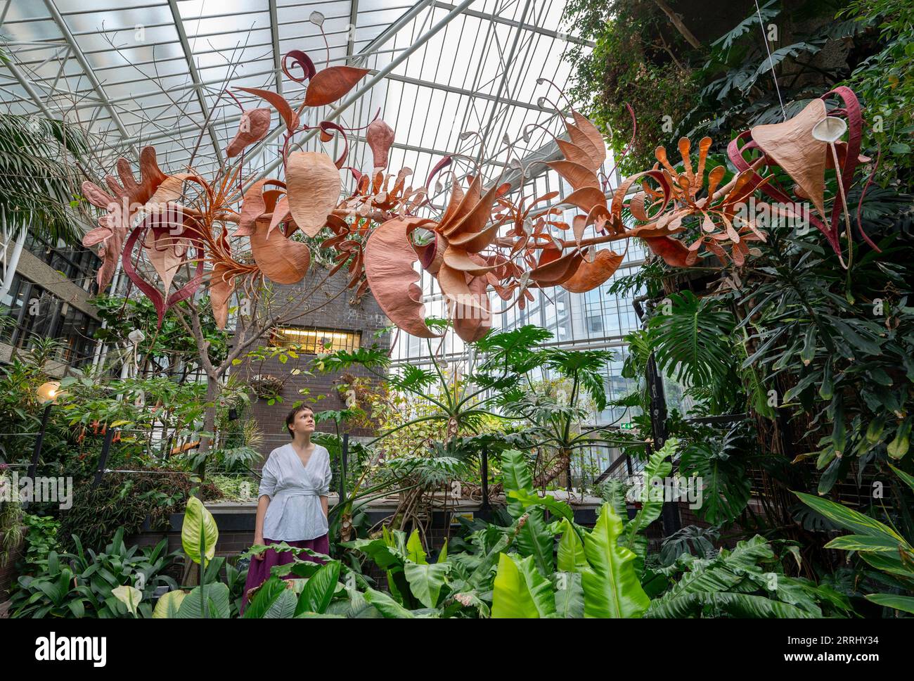 Barbican Conservatory, Barbican Centre, London, Vereinigtes Königreich ...
