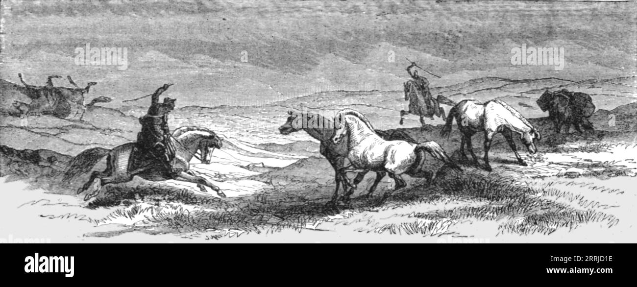 „Driving Ponies; an Icelanders Notes on Iceland“, 1875. Aus ...