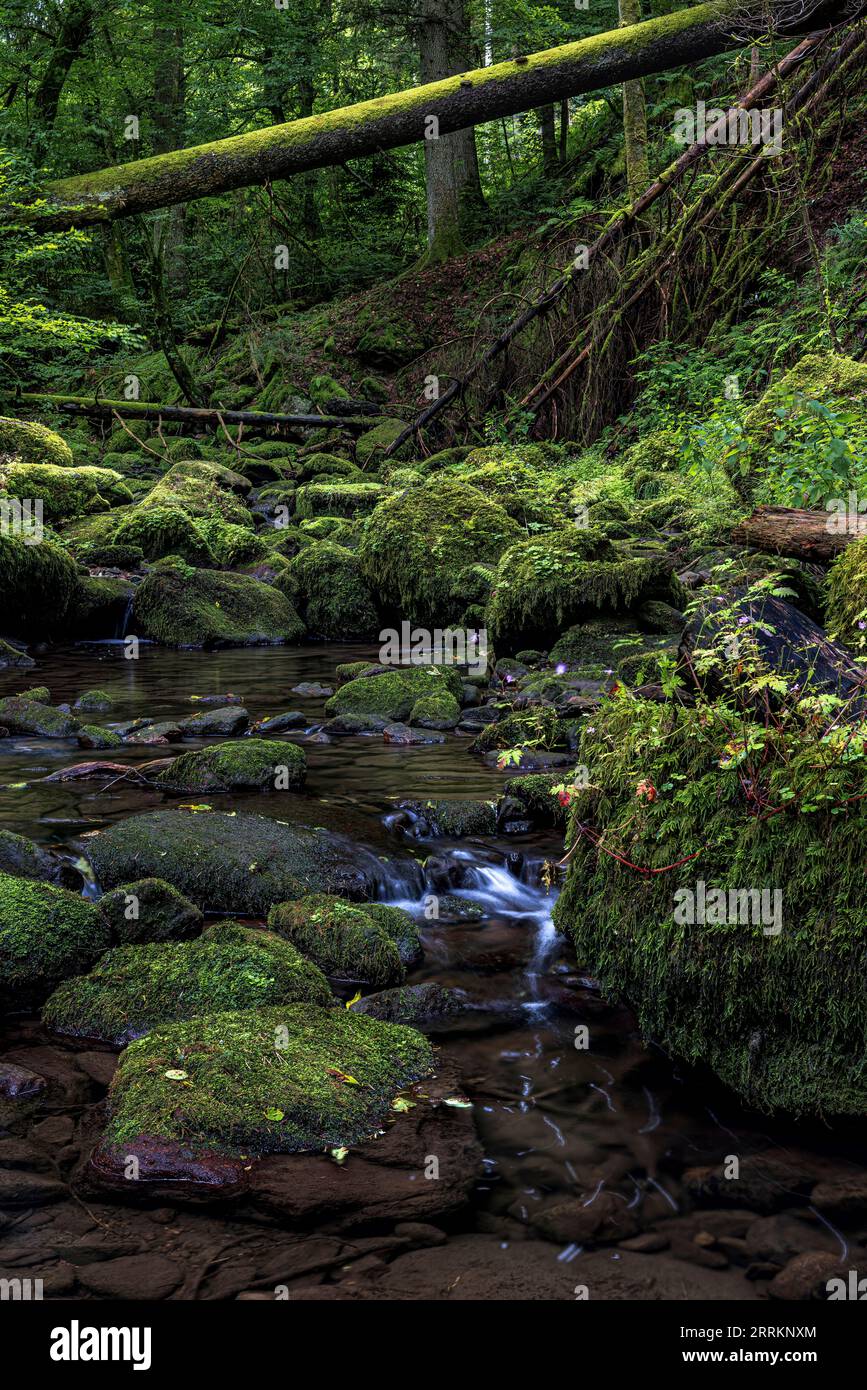 Wasserfall im monbachtal -Fotos und -Bildmaterial in hoher Auflösung ...