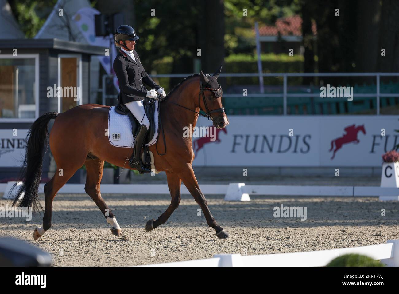 Riesenbeck, Deutschland. September 2023. Reitsport: Europameisterschaft ...