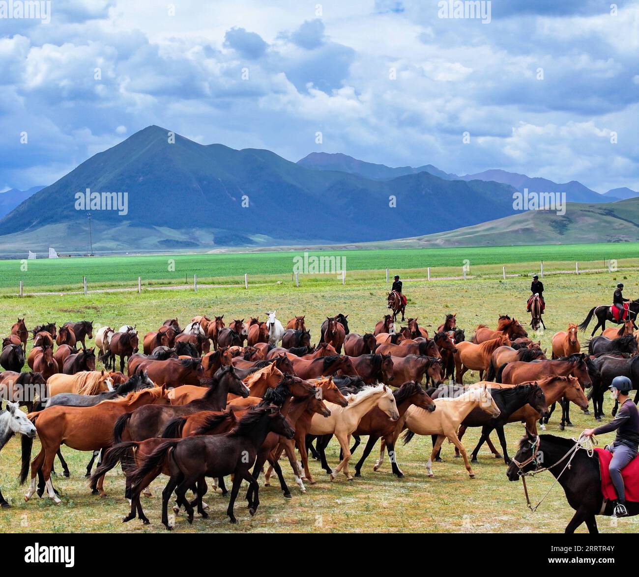 230807 -- SHANDAN, 7. August 2023 -- dieses Luftbild vom 6. August 2023 ...