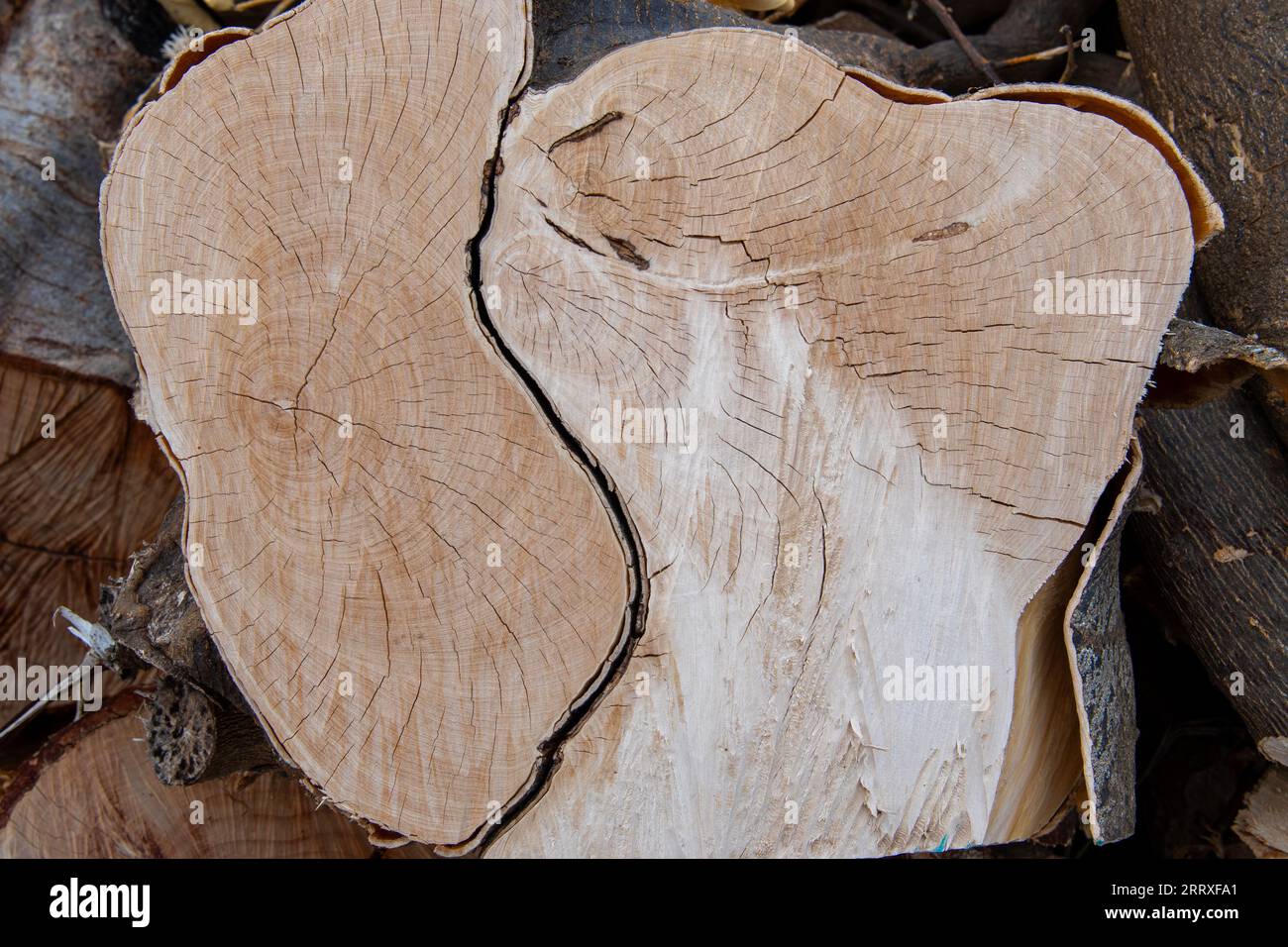 Fondo textura de madera -Fotos und -Bildmaterial in hoher Auflösung – Alamy