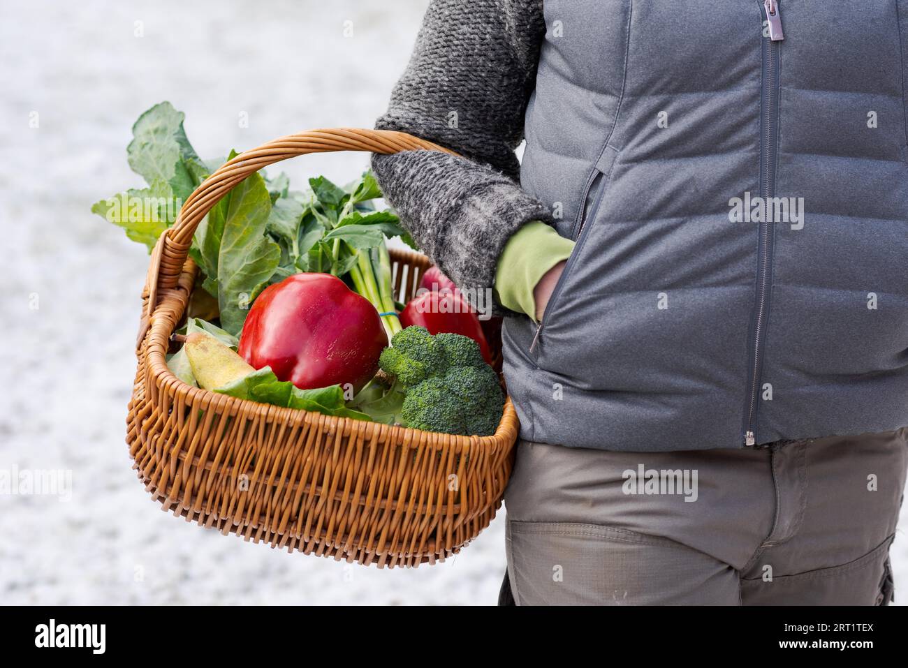 Korb gefüllt mit frischem Obst und Gemüse aus biologischem Anbau, der ...