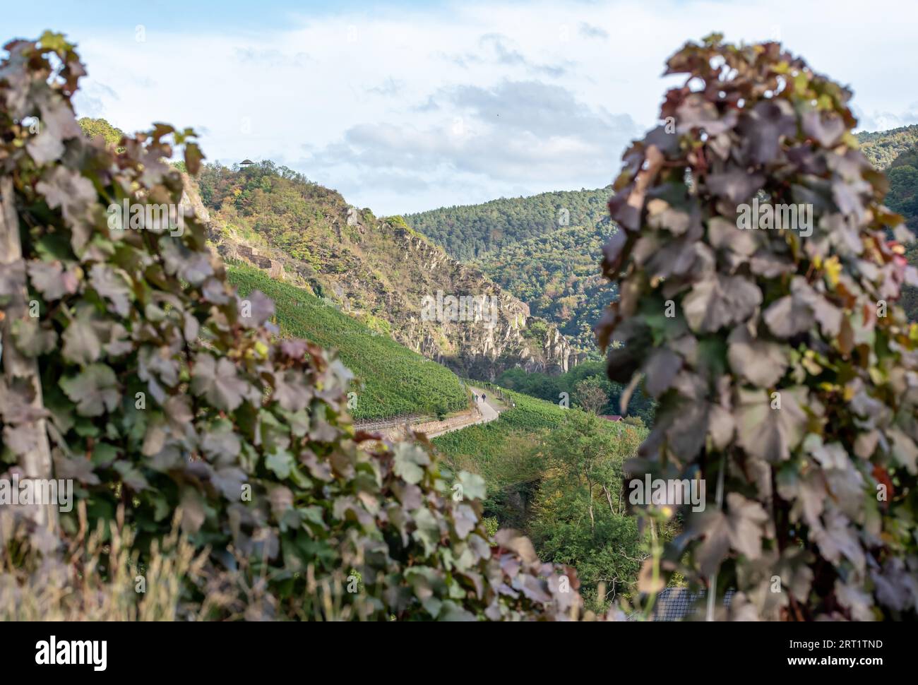 Marienthal ahr -Fotos und -Bildmaterial in hoher Auflösung – Alamy
