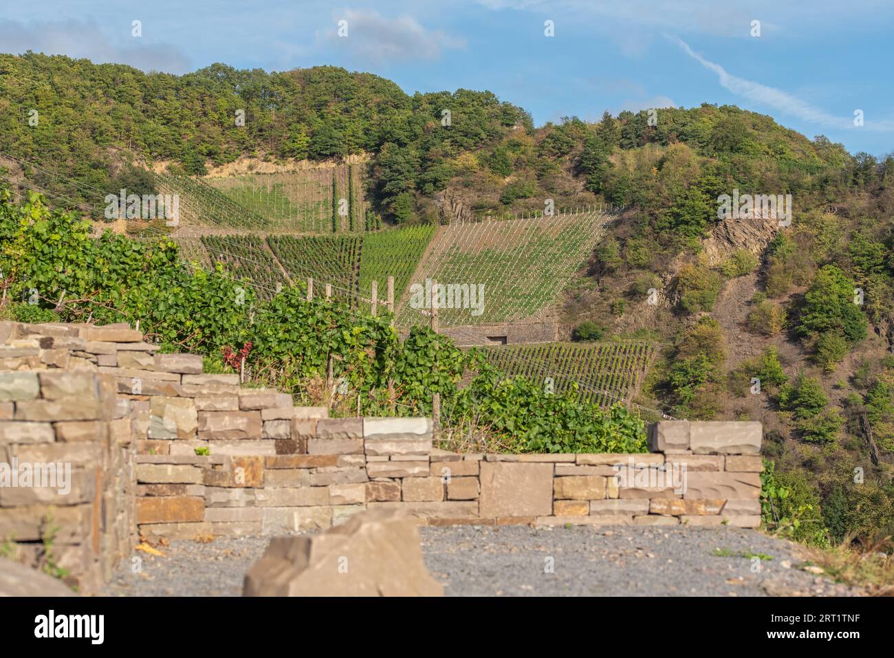Marienthal ahr -Fotos und -Bildmaterial in hoher Auflösung – Alamy