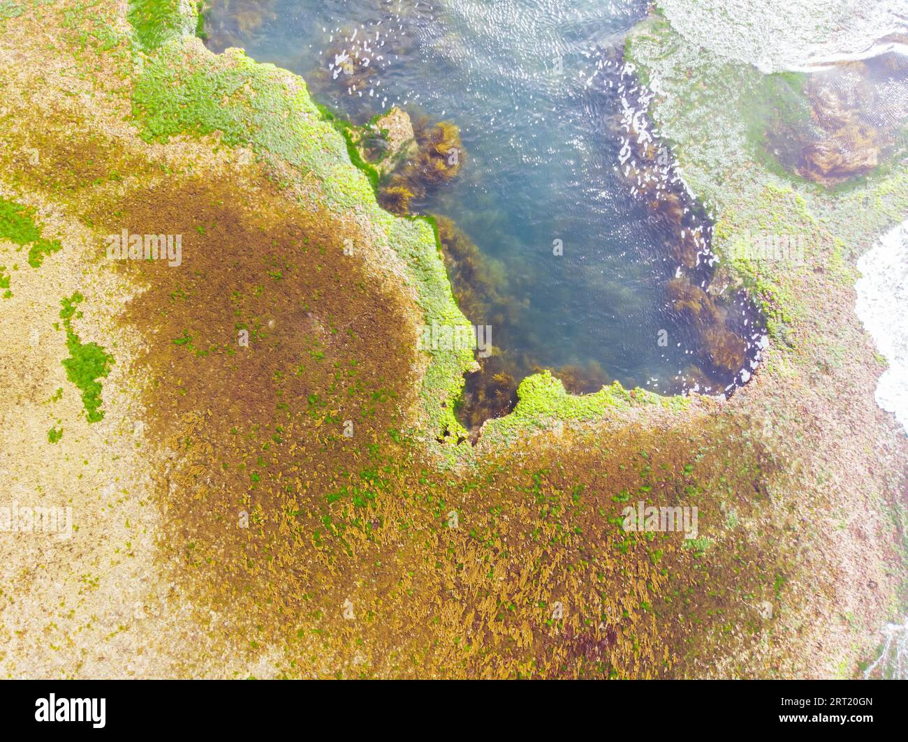 Eine Luftaufnahme der Küstenlinie Meer und Sand am Pearses Beach auf ...
