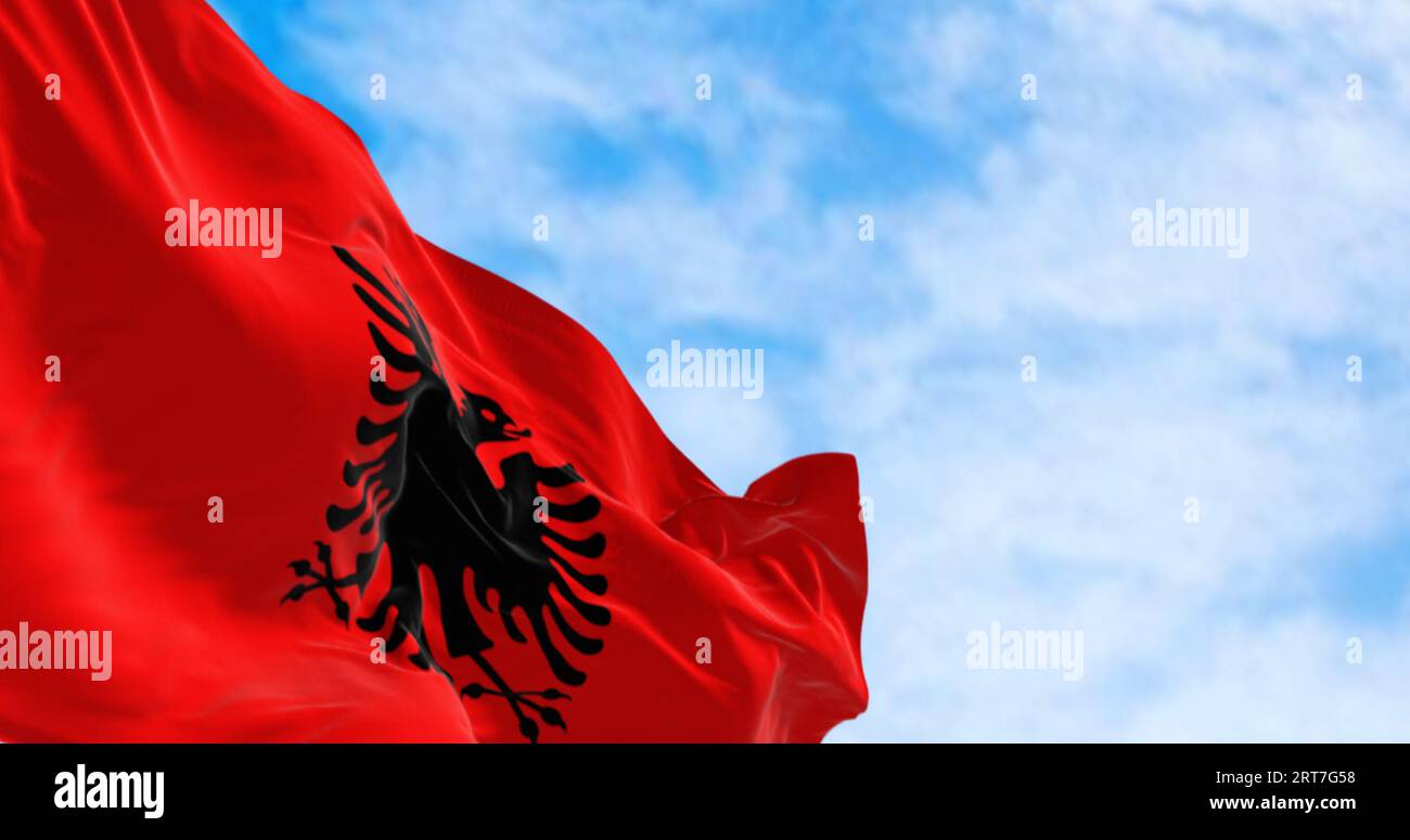 Der albanische adler -Fotos und -Bildmaterial in hoher Auflösung – Alamy