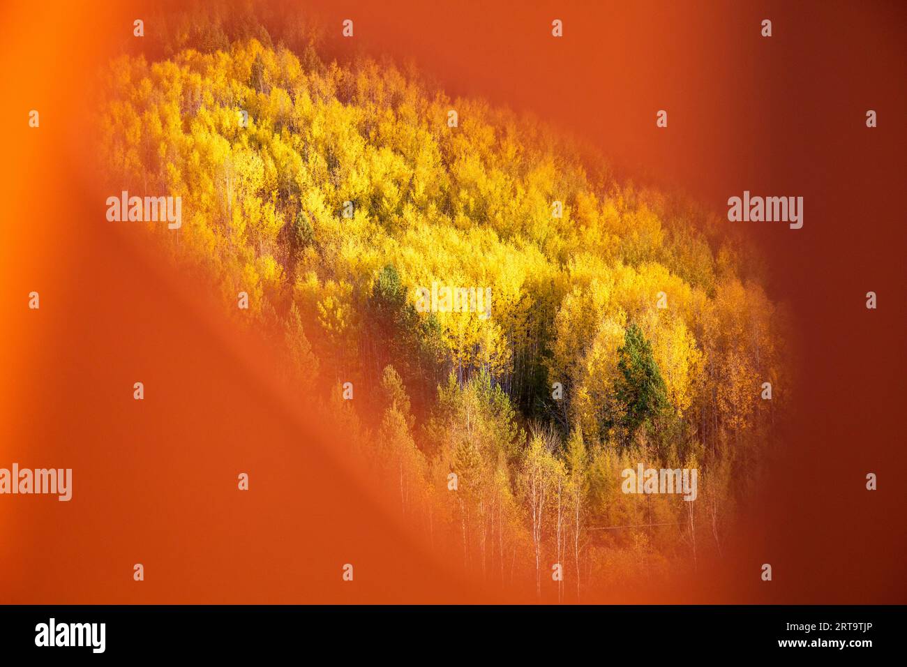 MOHE, CHINA - 12. SEPTEMBER 2023 - Foto aufgenommen am 12. SEPTEMBER ...