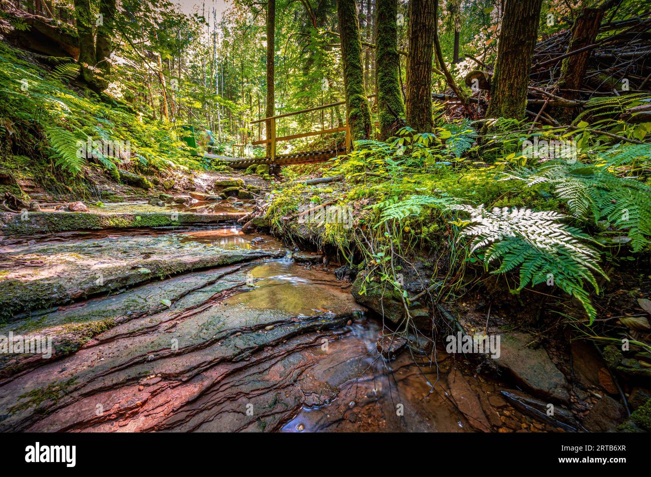 Brücken in thüringen -Fotos und -Bildmaterial in hoher Auflösung – Alamy