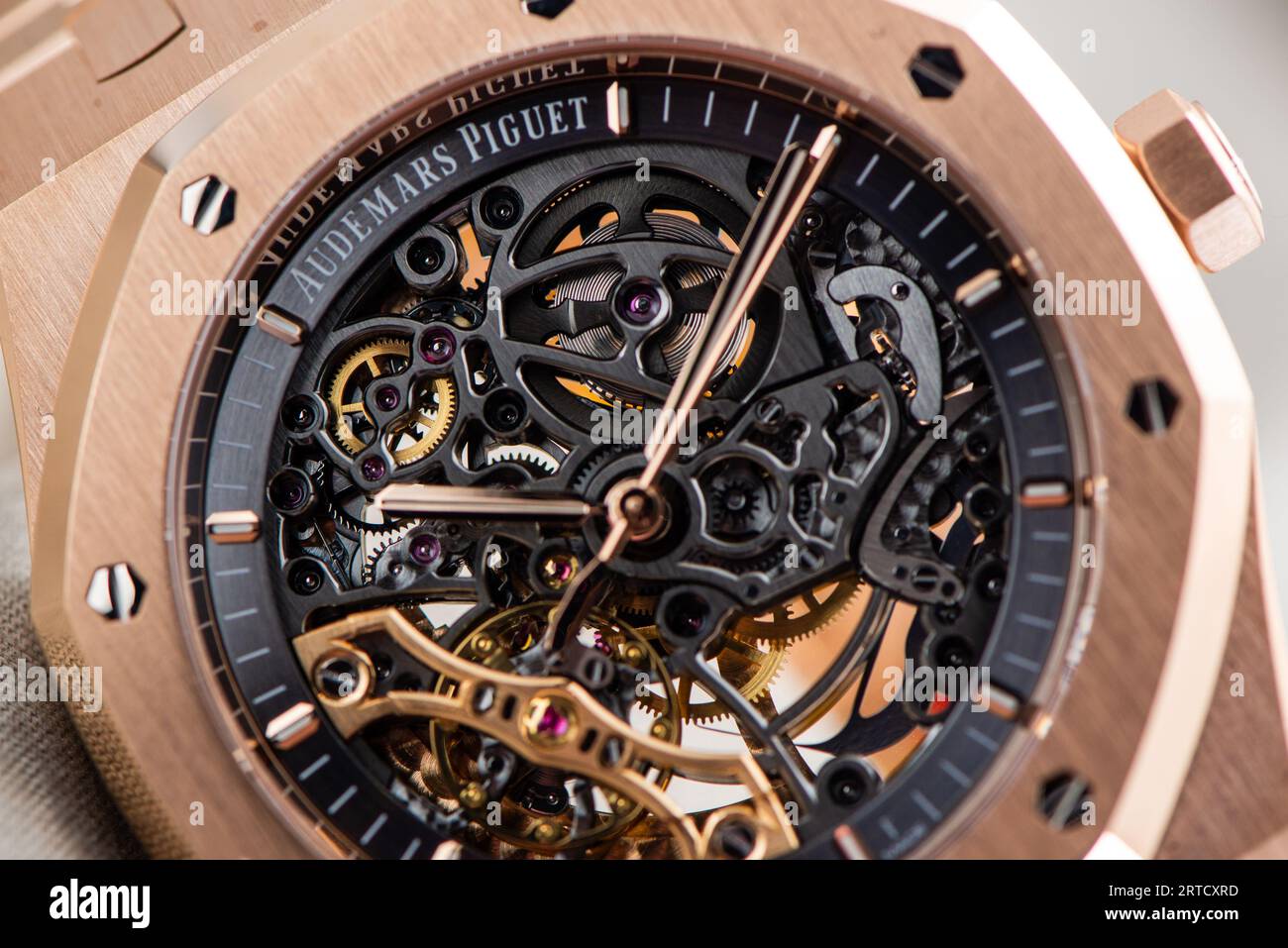 Mechanisches skelett -Fotos und -Bildmaterial in hoher Auflösung – Alamy