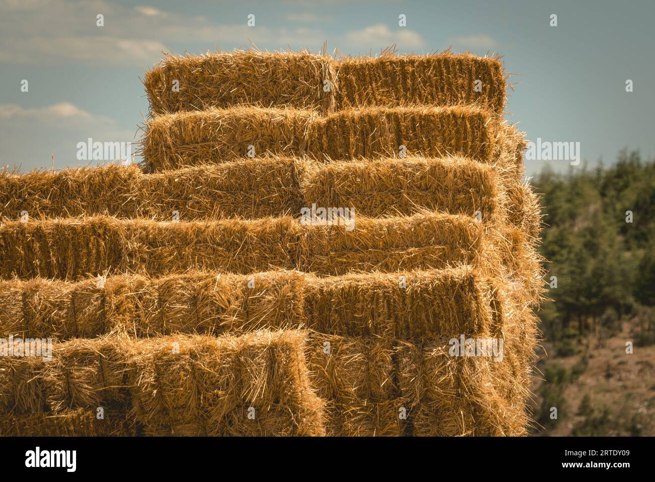 Quadratischer heuballen -Fotos und -Bildmaterial in hoher Auflösung – Alamy