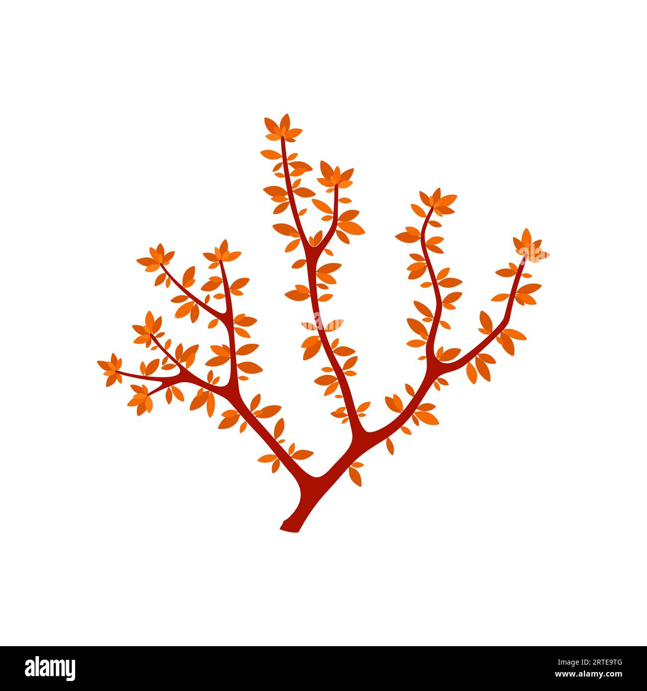Coral polyp coral sea Stock-Vektorgrafiken kaufen - Alamy