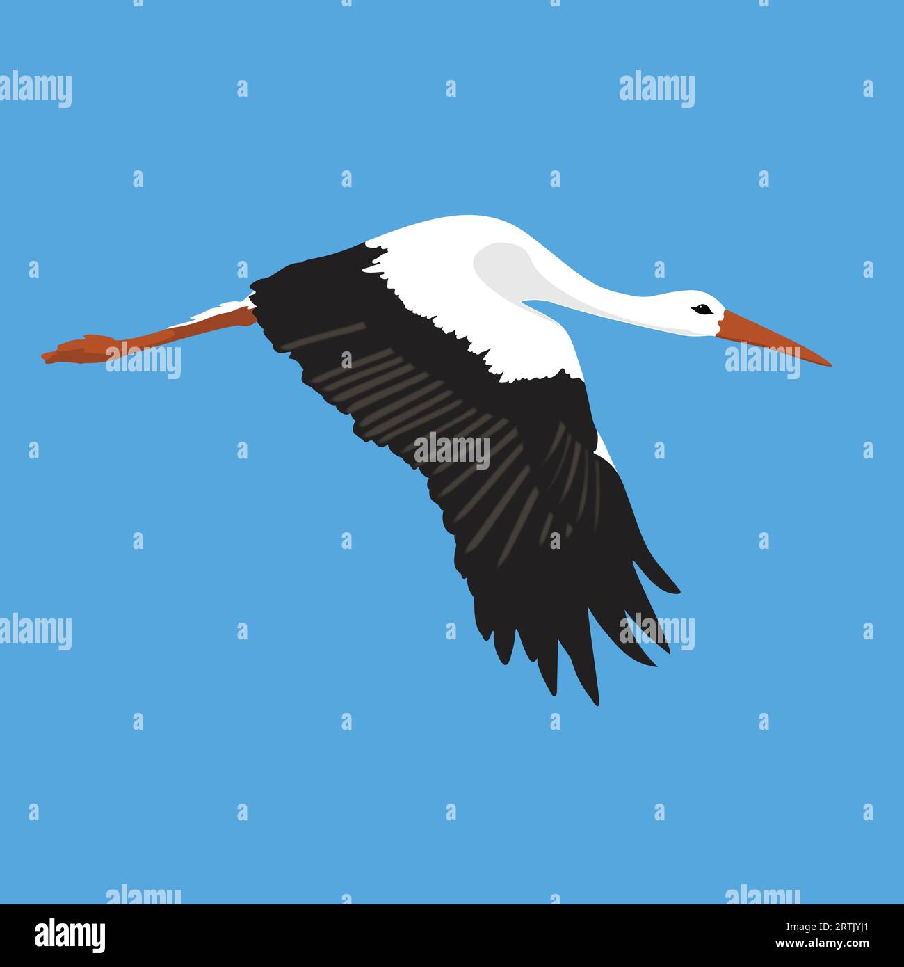 Schwarzstorch fliegen Stock-Vektorgrafiken kaufen - Alamy