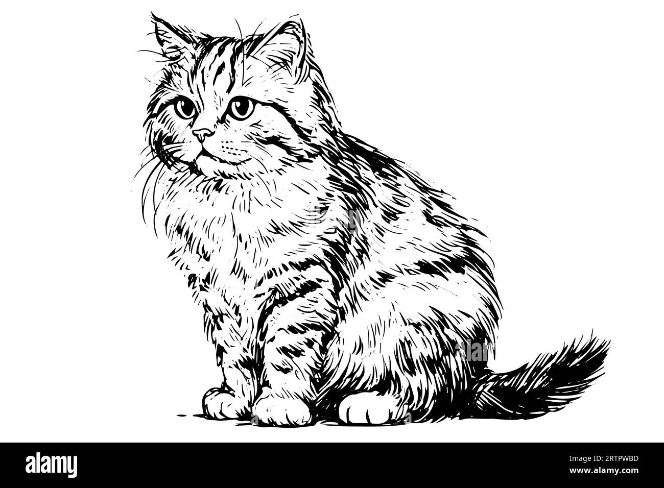 Niedliche Katze Hand gezeichnet Tinte Skizze Gravur Vintage-Stil.Vektor ...