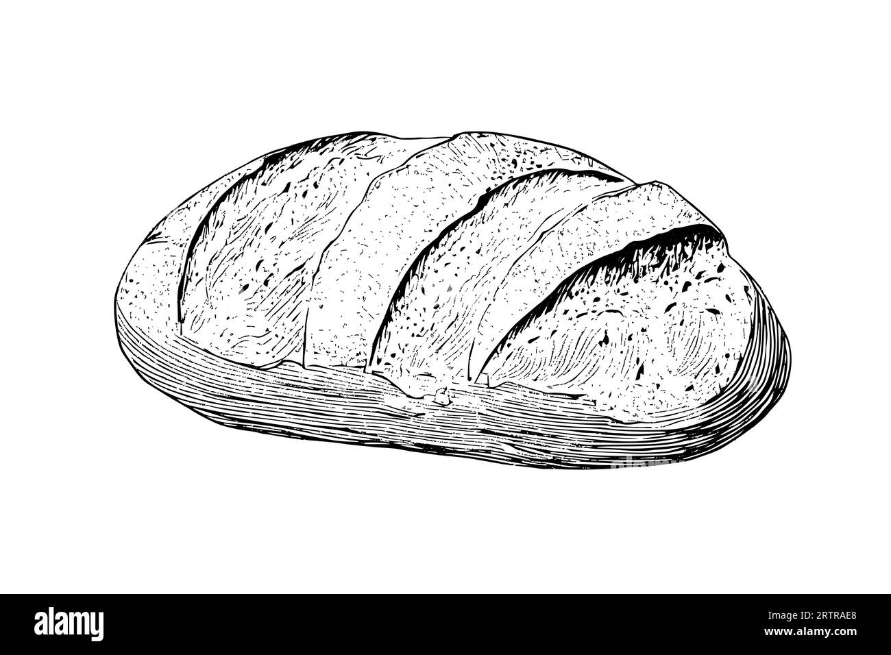 Brot. Vektor Hand gezeichnet Vintage Gravur Stil Vektor Illustration ...