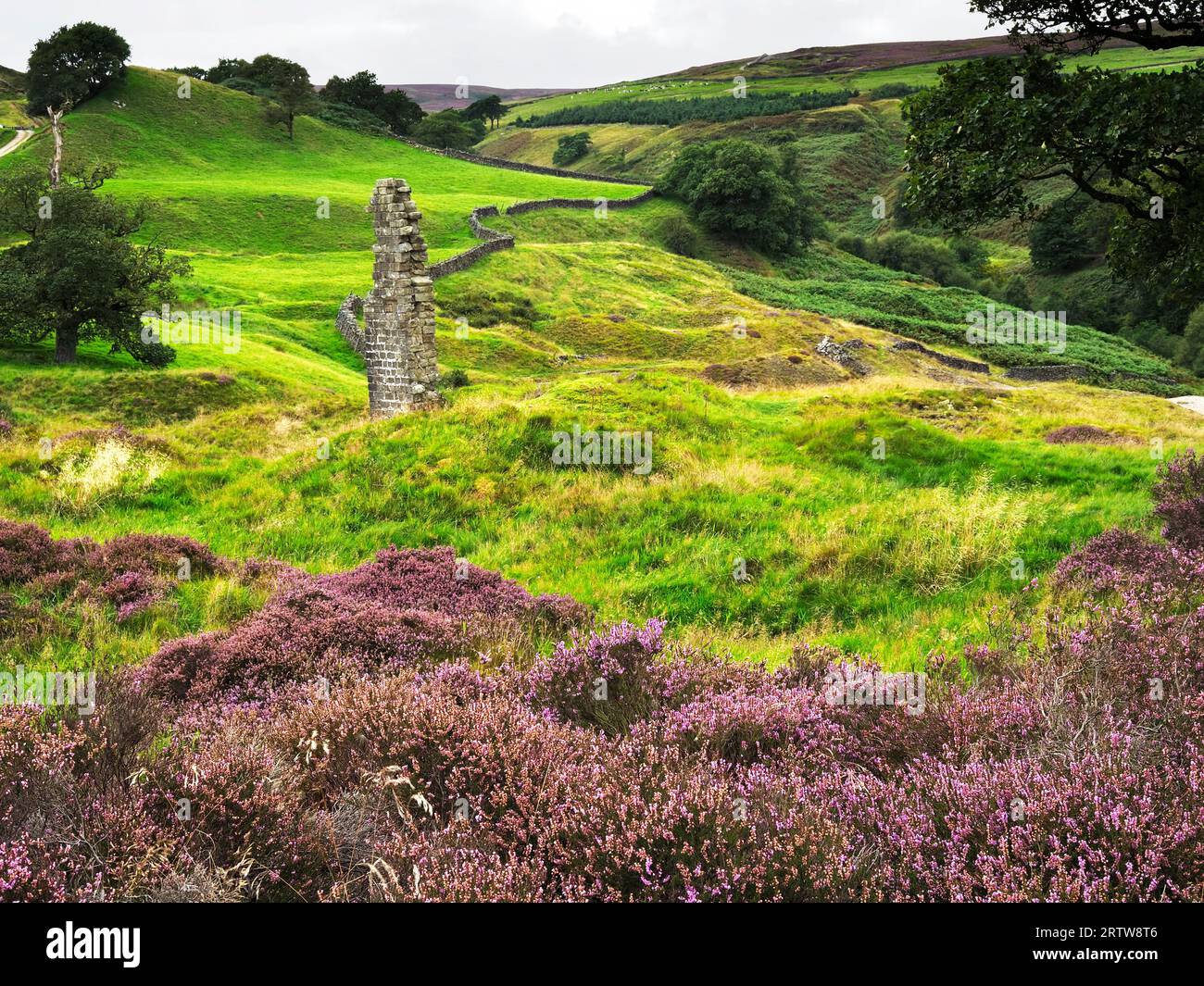 Ruine Tower of Providence Mine Engine House am Nidderdale Way in der ...