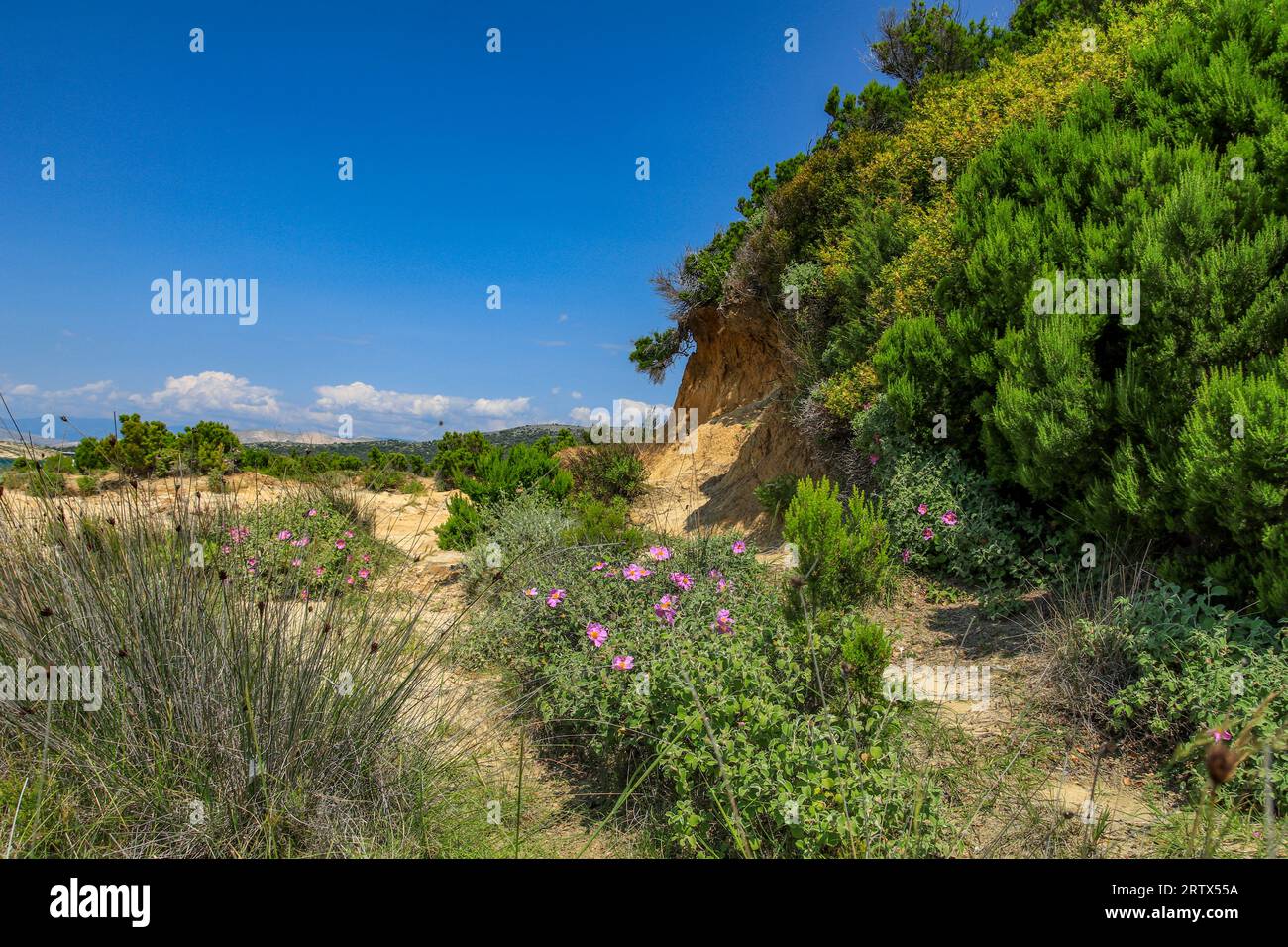 Vergessene orte in kroatien -Fotos und -Bildmaterial in hoher Auflösung – Alamy