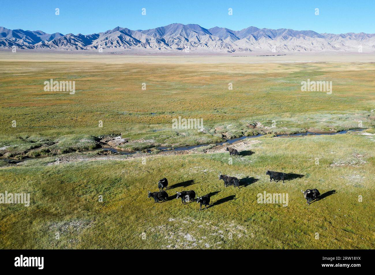 Ruoqiang. September 2023. Dieses Luftbild, das am 12. September 2023 ...